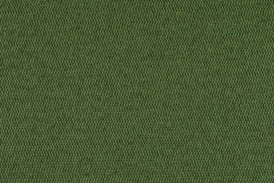 OFS - Messenger Cactus